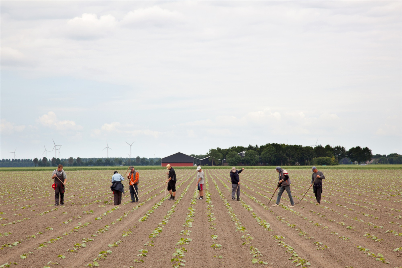 Convenant voor betere ondersteuning arbeidsmigranten