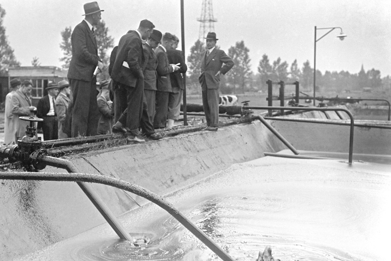 Royal Dutch Shell begint als handeltje in exotische schelpen